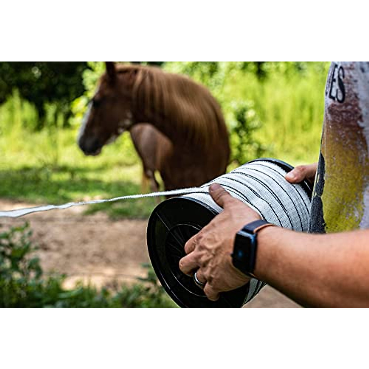 SGT Knots High Visibility Electric Fence Poly Tape - Electric Twisted Poly Pro - Long Lasting 5 Stainless Steel Conductors (1/2" x 656ft, 1 Spool - White)