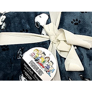 Berkshire Home & Blanket Co. Peanuts Gang Snoopy Happy Dance Velvet Soft Throw Blanket | 50" x 70" - Blue Gray