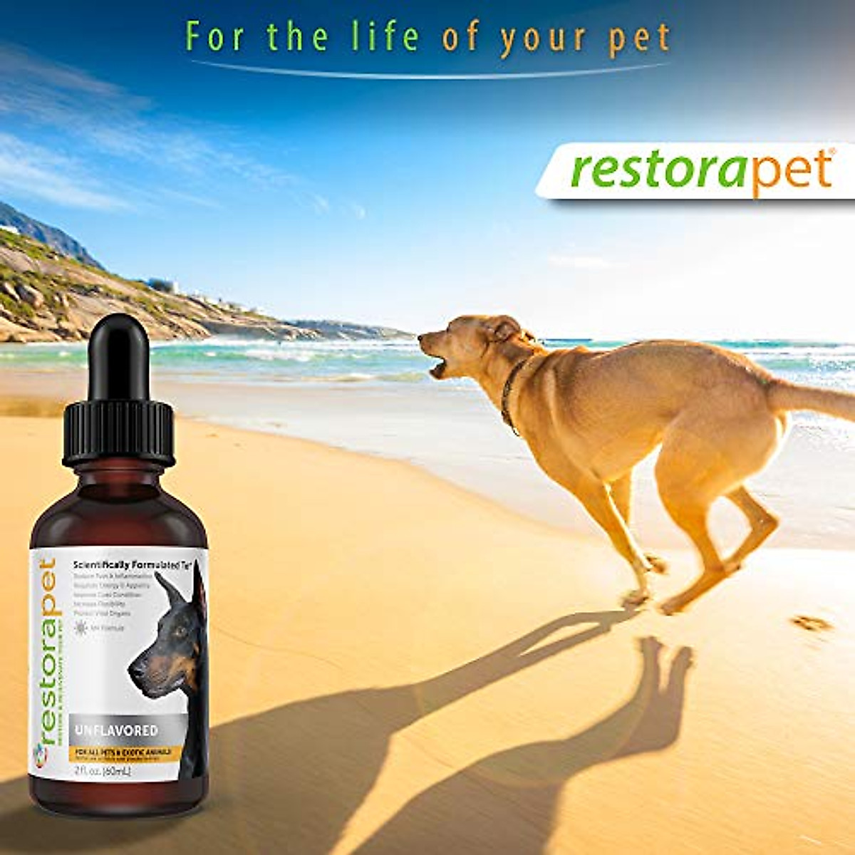 RestoraPet 1-Pack Dog & Cat Unflavored Liquid Multivitamin | Dog Arthritis Pain Relief | Hip&Joint Vitamins for Dogs | Anti Inflammatory Supplement for Dogs & Cats | Organic & Non-GMO, Vet Approved