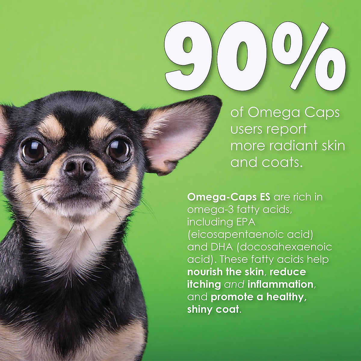 Omega-Caps for Cats and Small Breeds - Omega 3, Vitamins, Minerals, Antioxidants - Support Immune System, Joints, Heart, and Brain - 60 Softgel Capsules