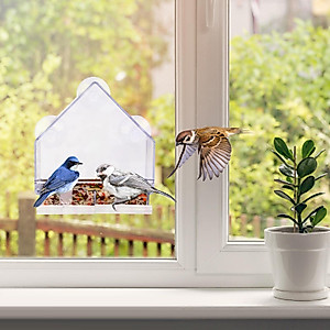 Window Bird Feeder 2 Pack, Bird House for Outside with 2 Rod, Window Bird Feeder with Strong Suction Cups and Removable Seed Tray with Drain Holes