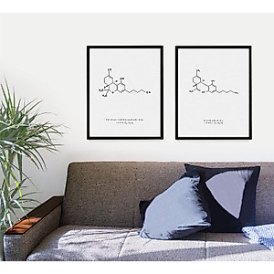 - Cannabis THC & CBD Molecule Poster Print - Scientific Wall Art - House Home Décor - Housewarming Gift - Set of 2 8x10 Unframed Art Prints