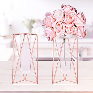 Test Tube Vases for Flowers, Glass vase with Metal Stand, Hydroponics Clear Planter Metal Glass Vase Hinged Art Vase Plant Holder Flower Vase for Modern Home Office Garden Wedding Decor(Rose Gold)