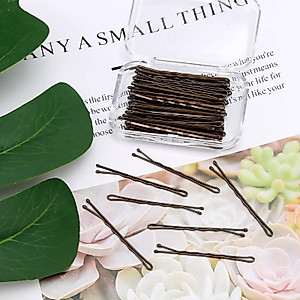 AIEX 50Pcs Hair Pins Kit Hair Clips Secure Hold Bobby Pins Hair Clips for Women Girls and Hairdressing Salon (Brown)