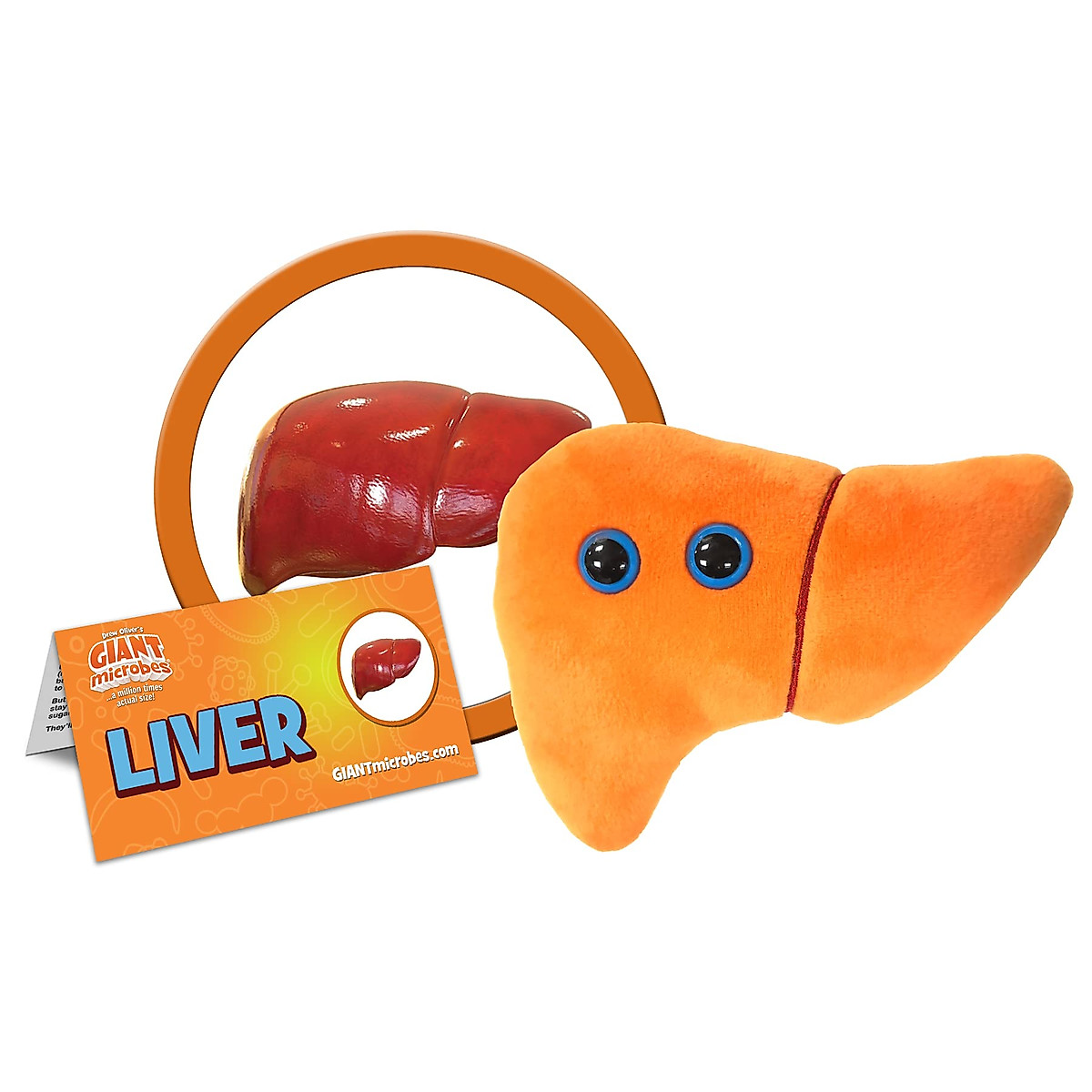 GIANTmicrobes Stuffed Liver Plush, Liver Stuffed Animal, Anatomical Liver, Hepatologist Gift, Liver Transplant Gifts, Hepatitis Gift, Hepatology Gift, Cirrhosis Gift, Liver Pillow, Liver Donor Gift