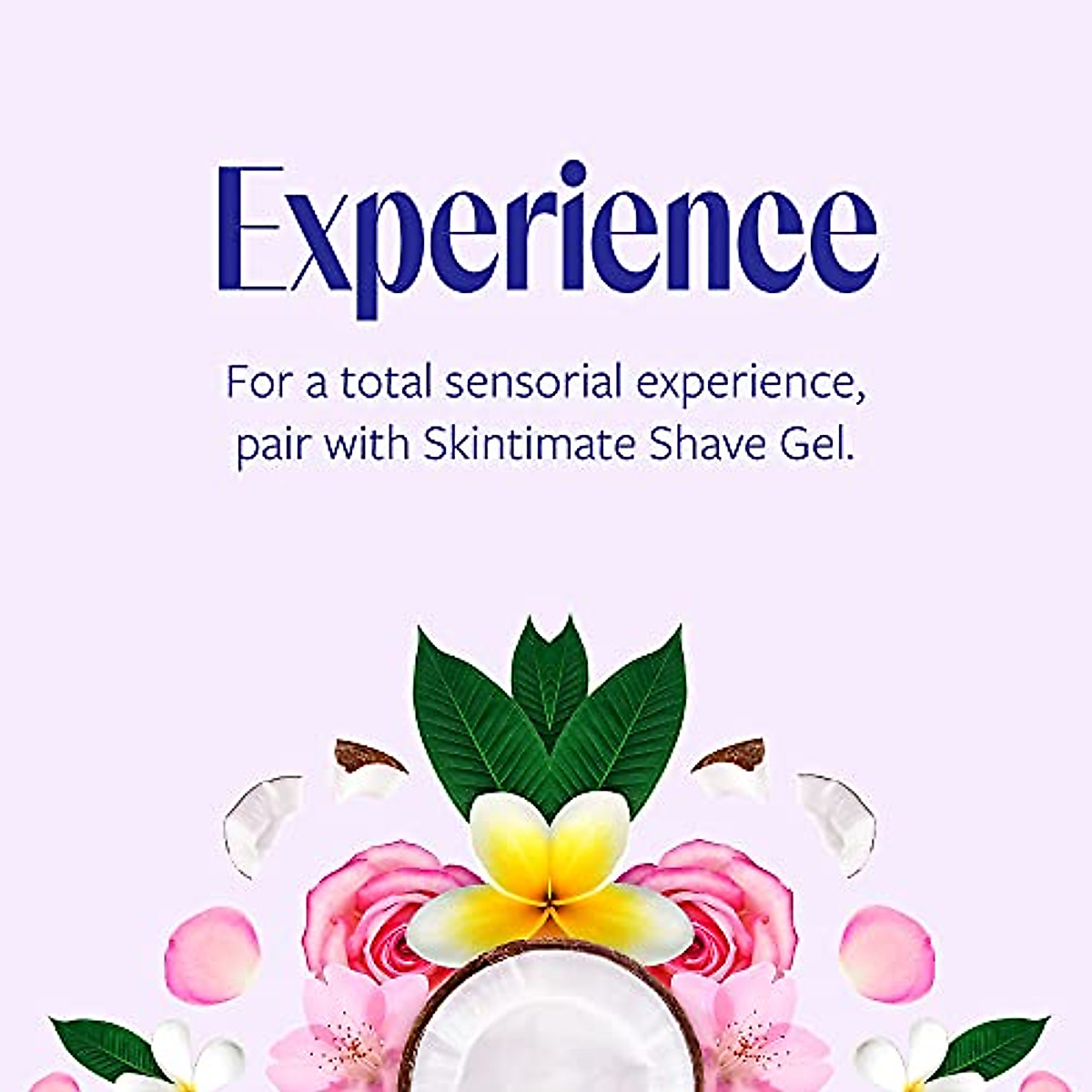 Skintimate 4-Blade Razor Refill Cartridges with Aloe and Vitamin E, 12 Count