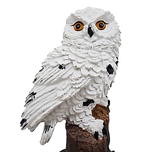OriginalSourcing Solar Garden Lights Garden Statues LED Owl Solar Lights Waterproof Owl Lamp Outdoors for Garden Decor (White)