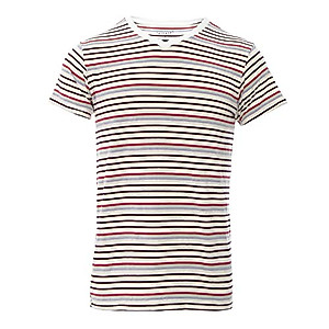KicKee Menswear Short Sleeve Print V-Neck Tee (M, Chemistry Stripe)