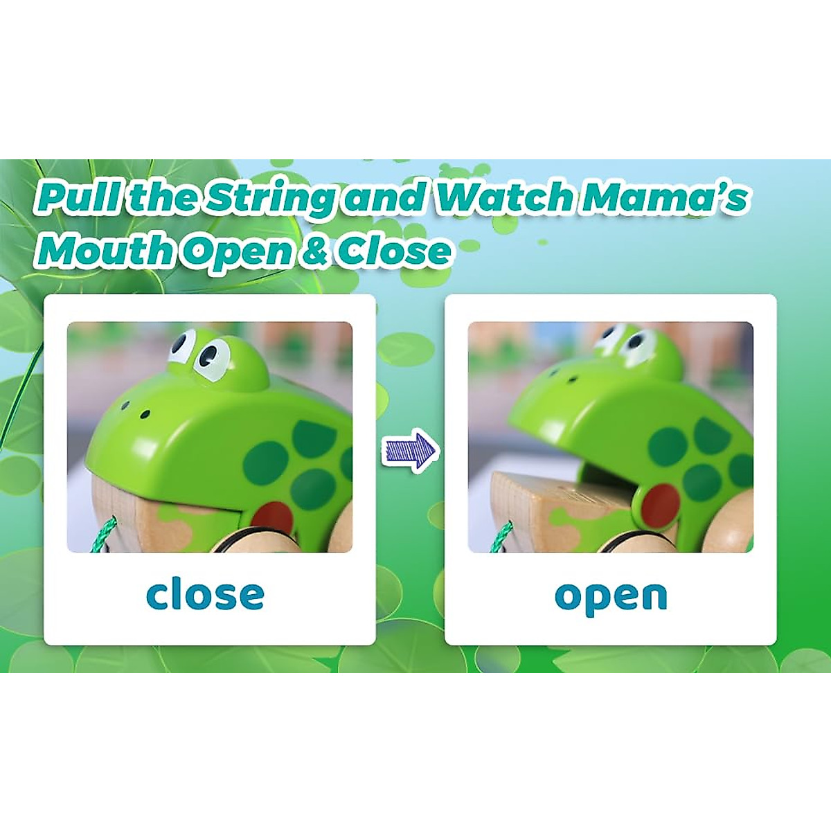 Hape Pull Along Frog Family with Anti-Rollover Wheels, Toddler Push and Pull Toys