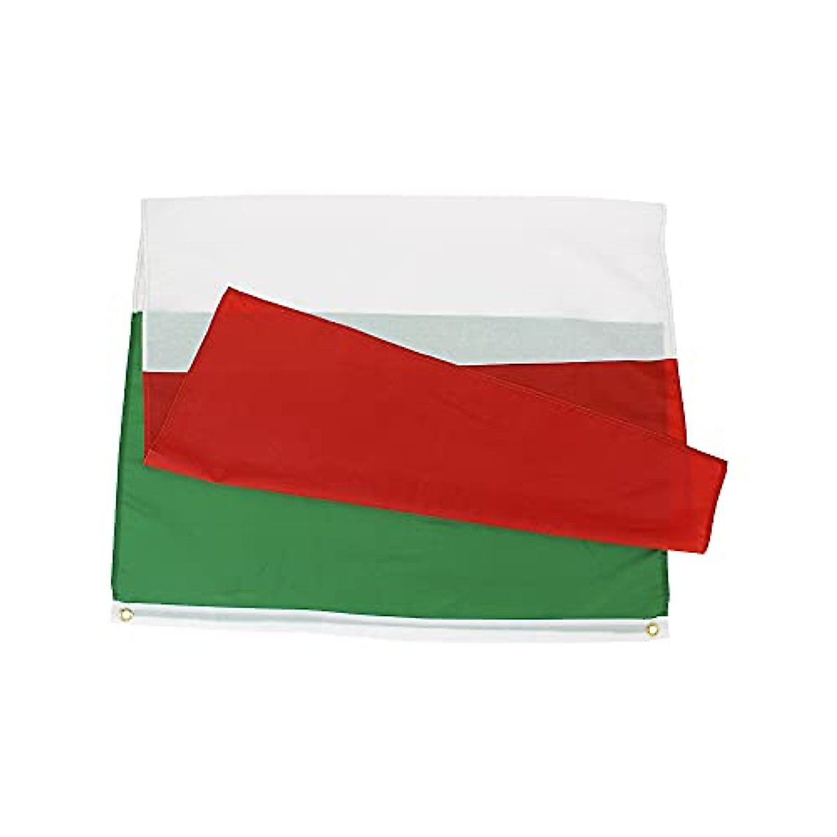 ANJOR Italy Flag 3x5 Foot Italian National Flags Polyester with Brass Grommets 3 X 5 Ft