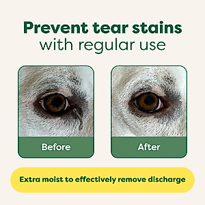 Earth Rated Pet Eye Wipes, Hypoallergenic Eye Wipes for Dogs & Cats to Prevent Tear Stains & Eye Discharge, Fragrance Free, 70 Count