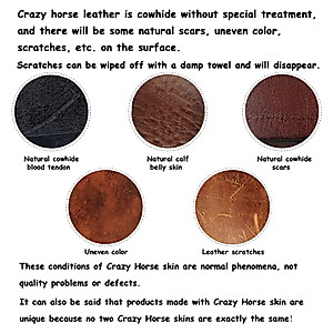 EASYANT Leather Cell Phone Holster Men Universal Case Waist Bag Sheath with Belt Loop Brown