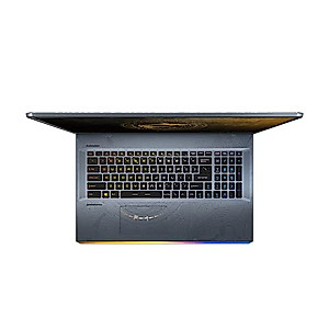 MSI GE76 Raider 17.3" 360Hz FHD Display, Intel Core i7-11800H, NVIDIA GeForce RTX3080, 32GB, 1TB NVMe SSD, Win10,Titanium Blue (11UH-245)