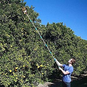 COCONUT Fruit Picker Tool, Fruit Picker with Basket and Pole Easy to Assemble & Use Fruits Catcher Tree Picker for Getting Fruits(5ft)