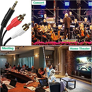 PASOW 3.5mm Stereo Male to 2RCA Male (Right and Left) RCA Audio Cable (100 Feet)