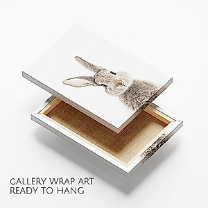 Set of Baby Animals | Safari Jungle Animal Pictures | Quality 11" x 14" Prints on 1.5" Thick Gallery Wrapped Canvas For Nursery Kids Room | Ready to Hang (4 Pack Baby Animal, 11" x 14")