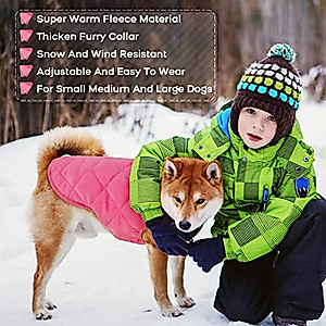 IDOMIK Dog Winter Coat Cold Weather Jacket, Pet Thick Fleece Lining Vest Reversible Warm Clothes, Windproof Snowproof Padded Sweater Outfit Apparel,Adjustable Cozy Snowsuit For Small Medium Large Dogs