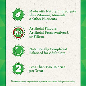 Greenies Feline SMARTBITES Skin & Fur Crunchy and Soft Textured Adult Natural Cat Treats, Salmon Flavor, 16 oz. Tub