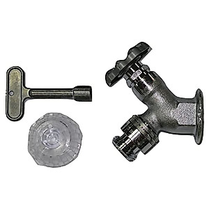 PROFLO PFWFDRC PROFLO PFWFD 1/2" FPT INL NF Area Wall Faucet