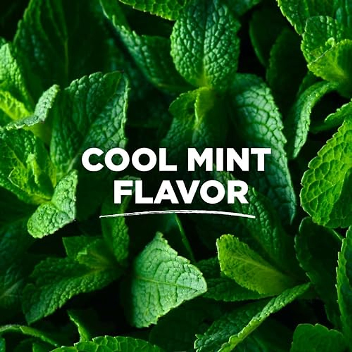 Tom's of Maine PureActiv Teeth + Gum Health* Anticavity Toothpaste Gel, Cool Mint, 4.0 oz.