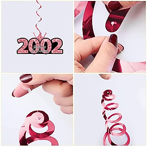 40Pcs Rose Gold 21st Birthday Decorations for Her Hanging Swirls, No-DIY 21st Birthday Decorations Ceiling Streams, Hello 21 Hanging Swirls 21st Birthday Decorations for Her cocomigo