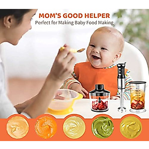 TUMIDY Immersion Blender Handheld 4 in 1 Hand Blender 500W Stepless Speed Stick Blender with Stainless Steel Blades, 750ml Chopper, 1000ml Chopper with Lid, Egg Whisk for Smoothie, Baby Food, Sauces
