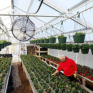 Maxx Air Wall Mount Fan, Commercial Grade for Patio, Garage, Shop, Easy Operation and Powerful CFM (18" Industrial Wall Mount)