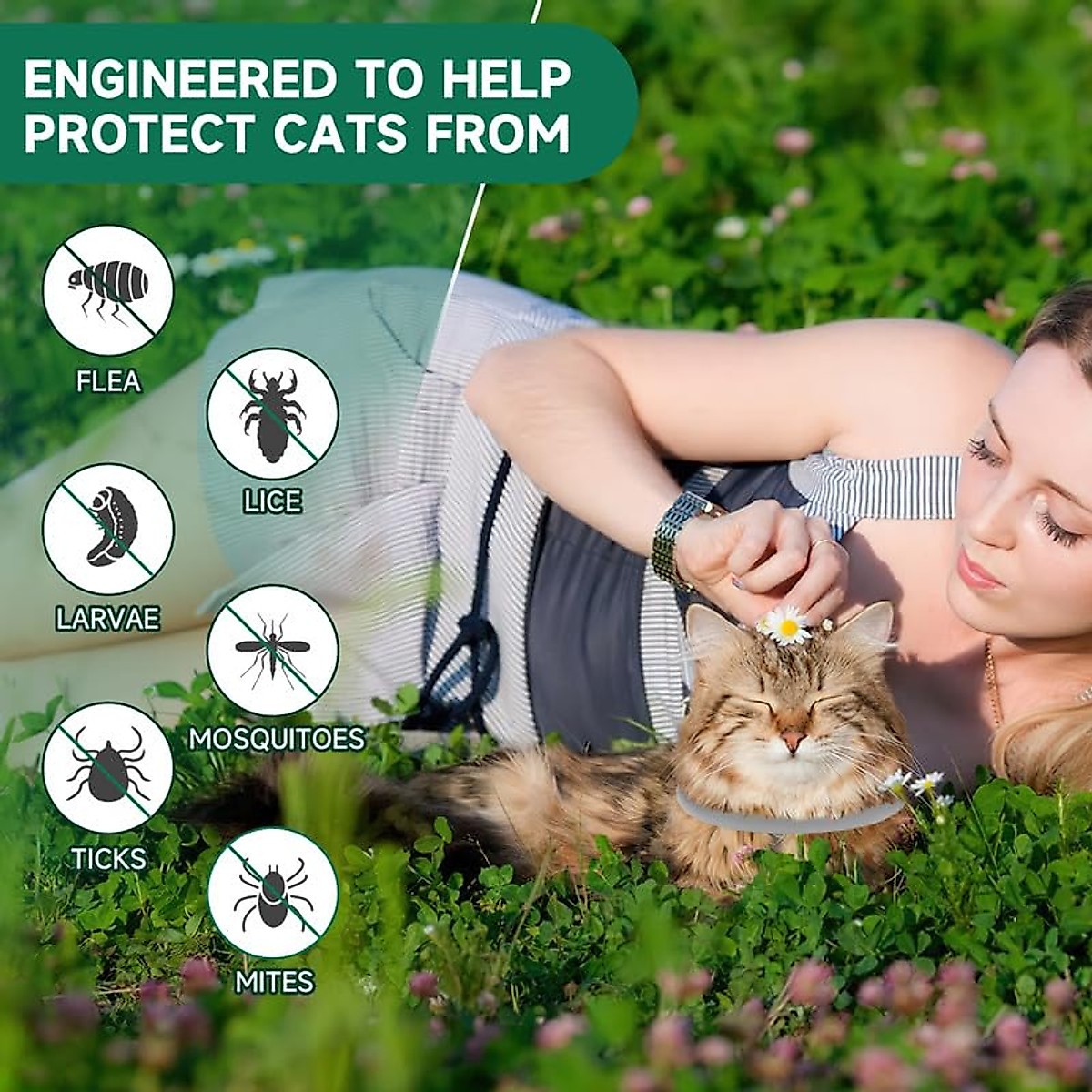 4 Pack Flea Collar for Cats, Cat Flea and Tick Treatment, 8 Months Protection Flea and Tick Prevention for Cats, Waterproof Cat Flea Collar, Adjustable Cat Flea and Tick Collar for Cats Kittens, Grey