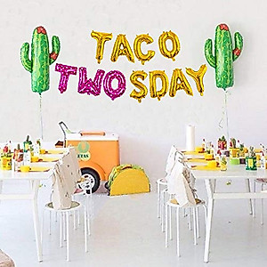 Girl Taco Twosday Birthday Party Decorations, Taco Twosday Balloons Cactus Fiesta Themed Banner for Taco 2sday Birthday Taco 2nd Birthday Party Supplies 14PCS Kit of Qinsly (Pink, Taco 2sDay)