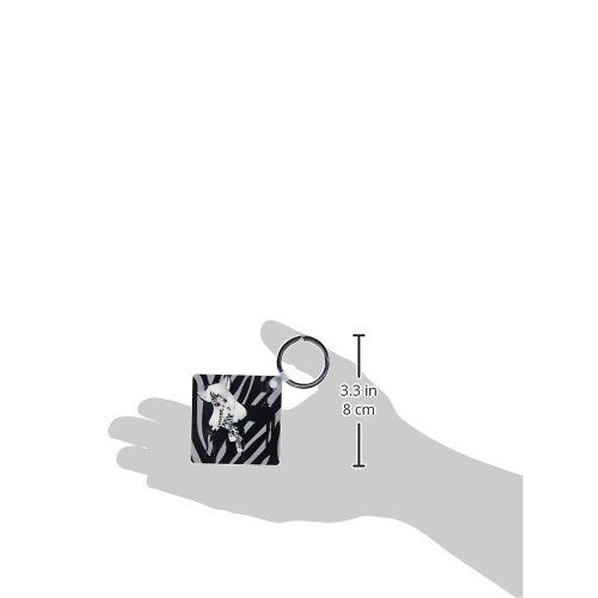 3dRose Zebra Print Cute Zebra Girl On a Chair for Girls Key Chains, Set of 2 (kc_173010_1)