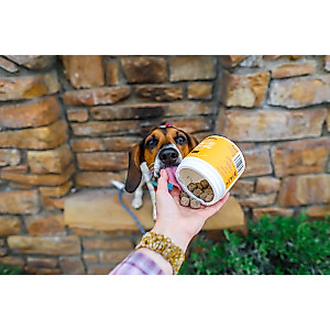 Natural Rapport Dog Skin and Coat Supplement - The Only Skin and Coat Soft Chews Dogs Need - 120ct Treats That Contain Salmon Oil and Omegas 3, 6, & 9 for a Healthy Coat