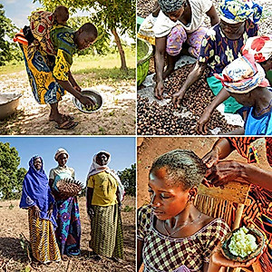 Miibox 100% Raw Unrefined Organic Shea Butter-African Grade A Ivory 1 Pound (16oz)