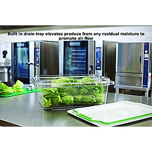 Rubbermaid Commercial Products FreshWorks™ Produce Saver Container, 12 Gallon Base Only (2052880)