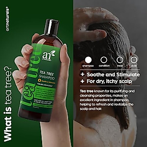 Artnaturals Tea Tree Shampoo - (16 Fl Oz / 473ml) - Sulfate Free – Made with 100% Pure Therapeutic Grade Tea Tree Essential Oil