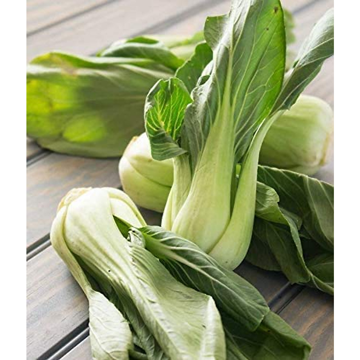 Gaea's Blessing Seeds - Bok Choy Seeds (2.0g) Canton Pak Choi Chinese Cabbage Non-GMO Seeds with Easy to Follow Planting Instructions - Heirloom 90% Germination Rate