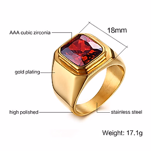 PMTIER Men's Stainless Steel Simple Gold Plated Ring with Square Red Gem Stone Size 10