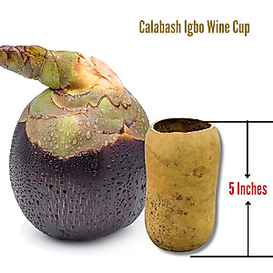 Hand-made Palm Wine Cup | Igbo Tribe Palm Wine Cup, Hand-Calved African Wine Cup (Size 5")