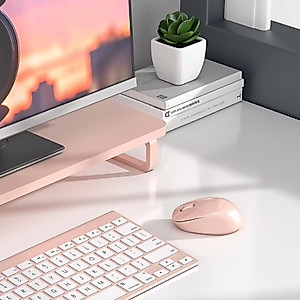 Trueque Wireless Mouse E702 2.4GHz Portable Computer Mouse with USB Receiver, Comfortable Silent Mice for Laptop, Chromebook, PC, Notebook, Desktop, Windows, Mac (Pink)