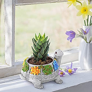 LESES Turtle Succulent Pot Planters for Indoor Plants with Drainage Hole, Flower Garden Cute Pots for Plants, Succulent, Cactus Home Office Desk Garden Decor Plant Lovers Gifts for Woman