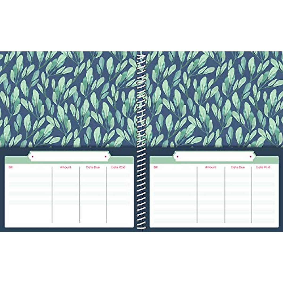 Bill Organizer: Keep Life Organized (Includes 12 Pockets and Password Log)