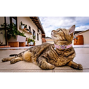 WDPAWS Heart Bling Cat Collar with Safety Belt and Bell Adjustable 8-10 inches for Kitten Cats (Pink)