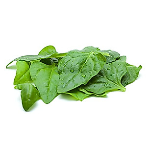 New Zealand Spinach Seeds for Planting, 100+ Heirloom Seeds Per Packet, (Isla's Garden Seeds), Non GMO Seeds, Botanical Name: Tetragonia tetragonioides, Great Home Garden Gift