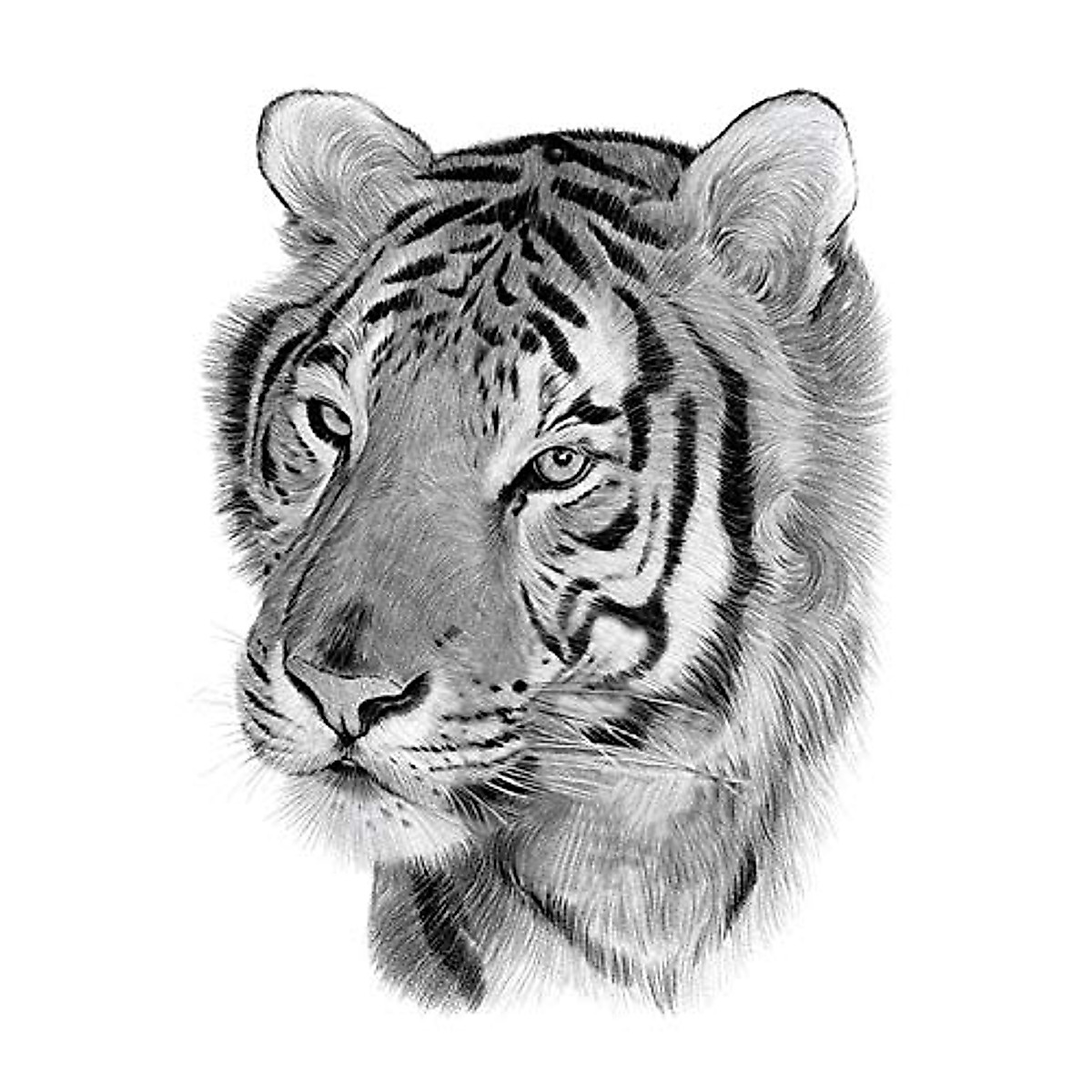 Lion Tiger Wolf Half Arm Sleeve Temporary Tattoo Sticker For Men L8.3"xW5.9"(20Sheets)