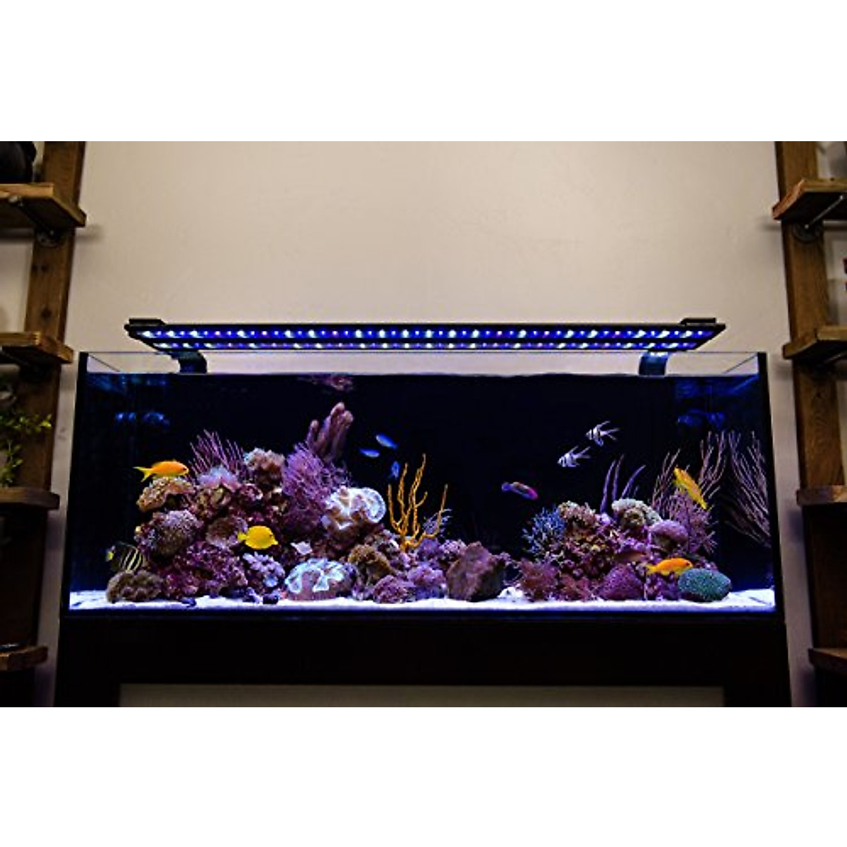 Current USA 4227 Orbit Marine IC PRO LED Reef Aquarium Dual Light System with Wireless Loop, 48"
