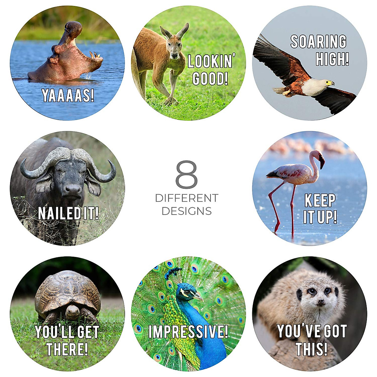 Motivational Animal Stickers / 500 Students Patients Incentive Labels Roll / 1.5" Funny Inspirational Animal School Clinic Reward Sticker / 8 Humorous Designs/Made in The USA