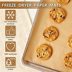 Tray Mats Set for Harvest Right Freeze Dryer Large Trays, Harvest Right Freeze Dryer Accessories, Freeze Dryer Parchment Paper Set, Food Grade Materials，19.6 X 8.3 in (100PCS)