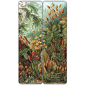 Creanoso Ernst Haeckel Bookmarks Series 2 (60-Pack) - Premium Quality Gift Ideas for Children, Teens, & Adults for All Occasions - Stocking Stuffers Party Favor & Giveaways