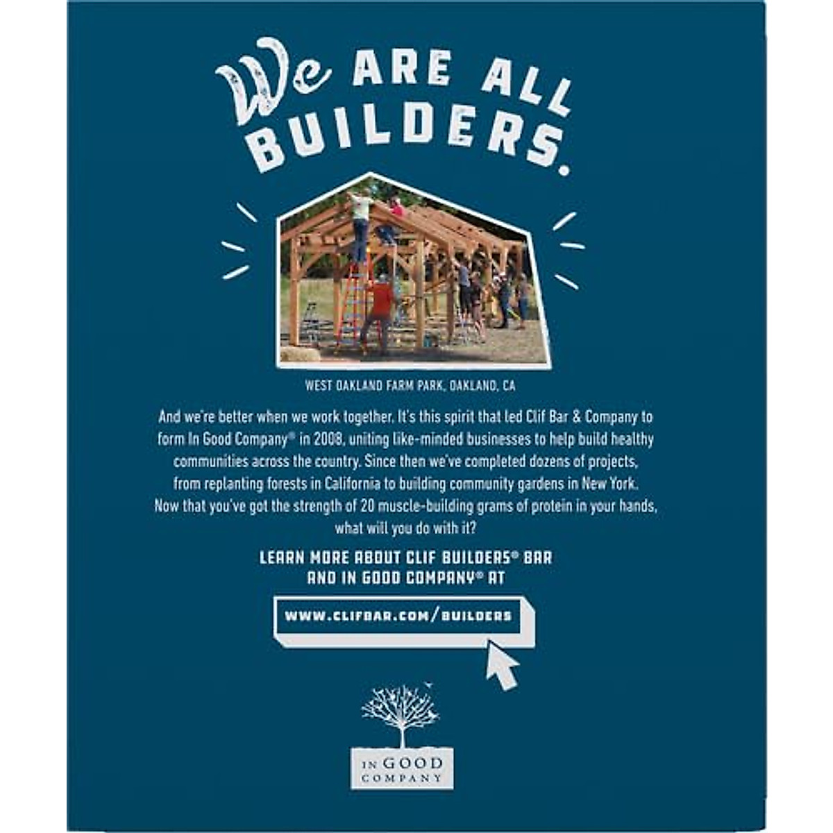 CLIF Builders - Chocolate Peanut Butter Flavor - Protein Bars - Gluten-Free - Non-GMO - Low Glycemic - 20g Protein - 2.4 oz. (12 Pack)