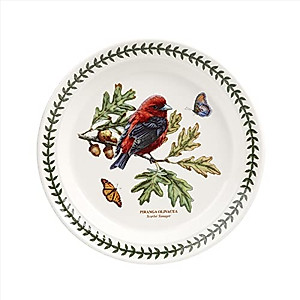 Portmeirion Botanic Garden Birds Collection Salad Plates | Set of 6 Plates 8.5 Inch with Assorted Bird Motifs | Made of Earthenware | Dishwasher and Microwave Safe | Made in England