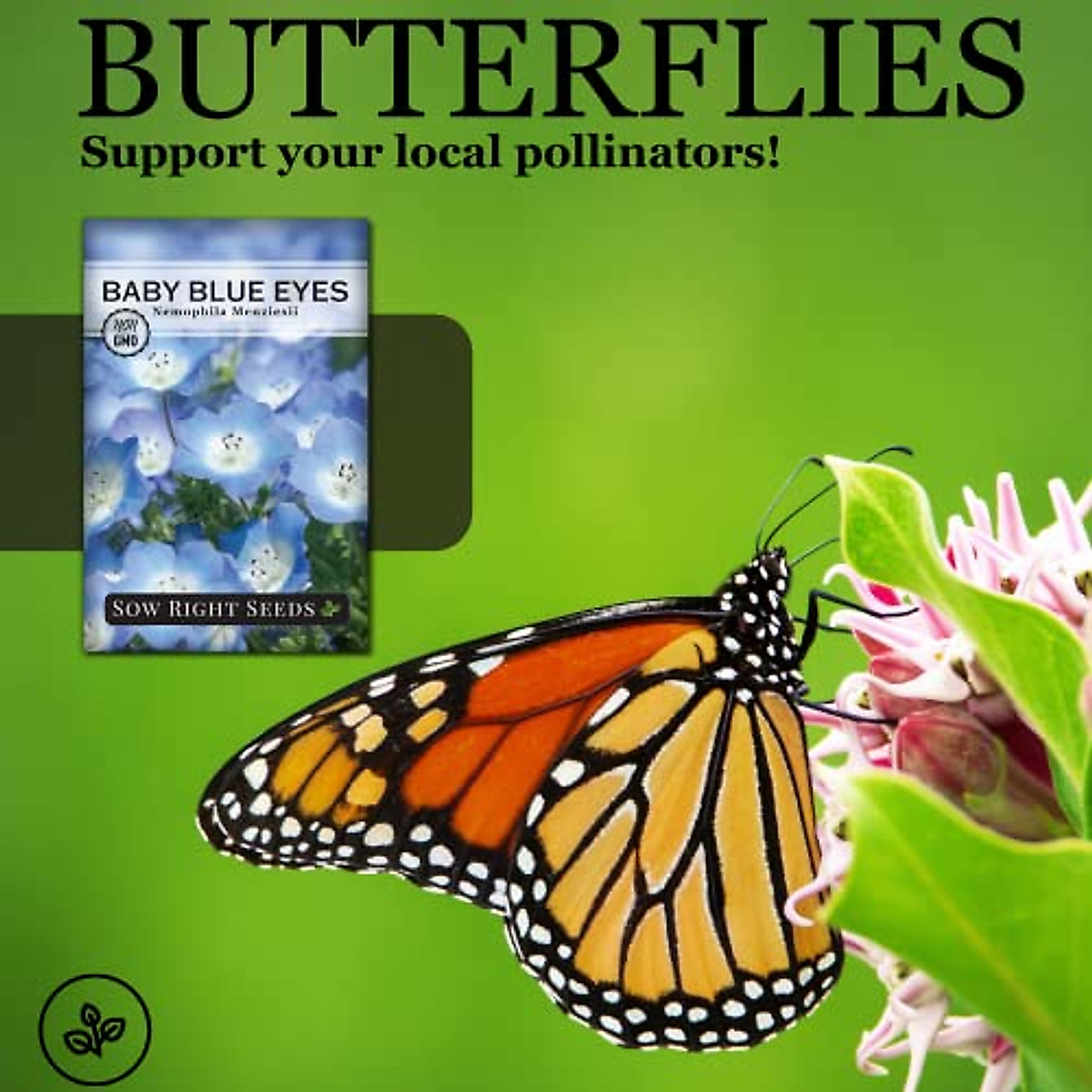 Sow Right Seeds - Baby Blue Eyes Flower Seeds for Planting - Beautiful Flowers to Plant in Your Home Garden - Indoors or Outdoors - Non-GMO Heirloom Seeds - Attract Pollinators - Great Gardening Gifts